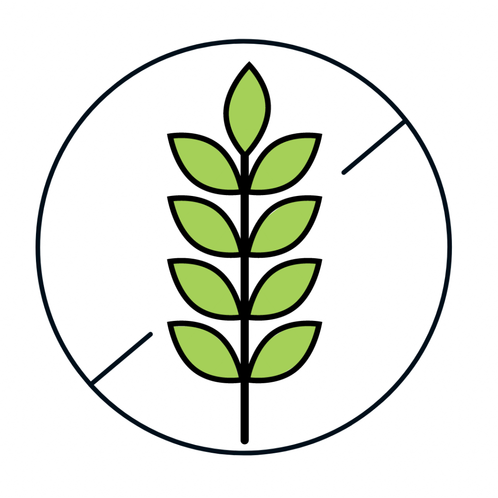 The Essence of Africa | Bio Superfoods in Premiumqualität